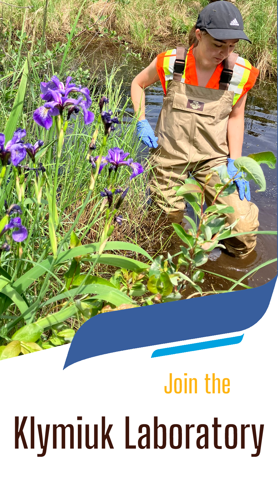 Join the Lab – Klymiuk Laboratory for Plant Mycobiomes